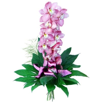 Orchid elegance and finess. | Interflora