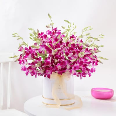 Send Flowers From NZ to India | Purple Orchid Elegance | Interflora