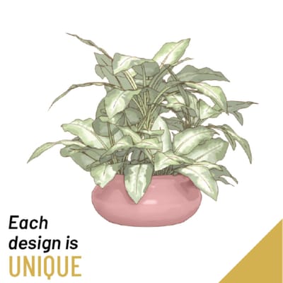 Seasonal Single Plant | Interflora